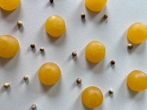 Seppic unveils new immediate skin benefits of Solagum™ AX, its natural ...