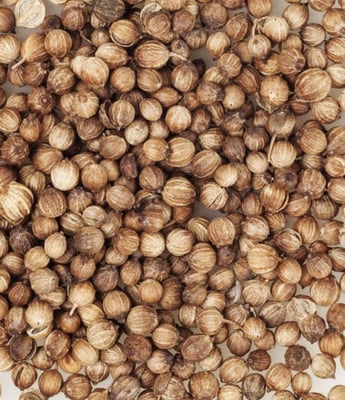 CERAMOSIDES™ | Fast acting & low dose wheat phytoceramides