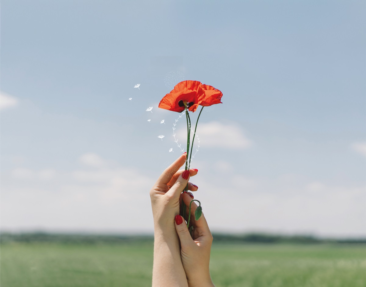 SEPILIFT™ DPHP | Dipalmitoyl Hydroxyproline to reduce wrinkles