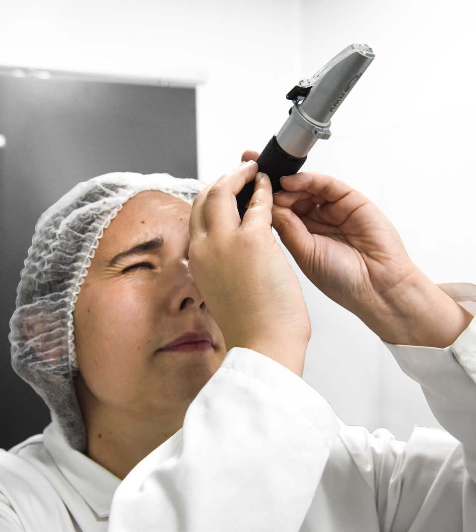 Seppic’s activities and markets