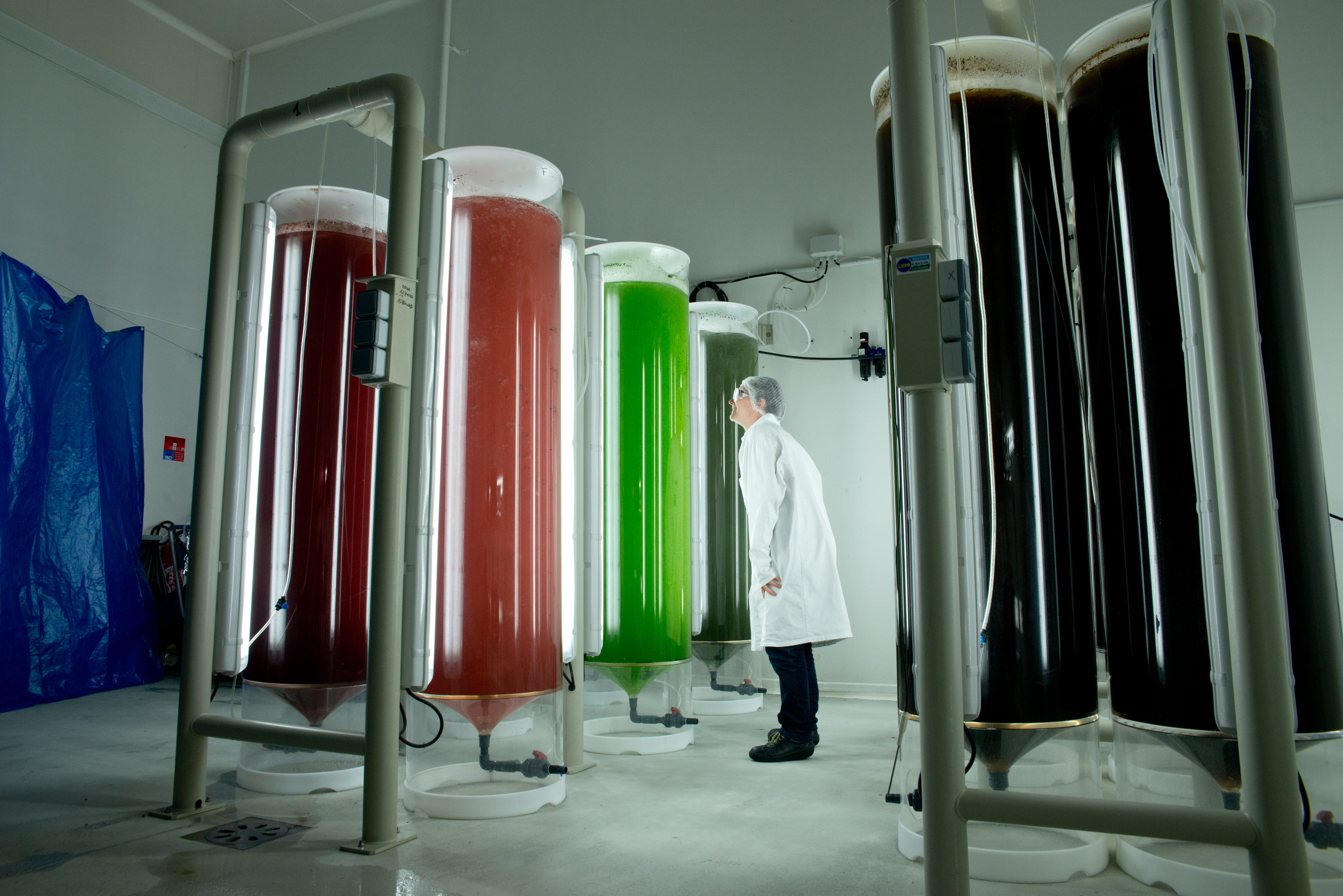 Biotechnology in cosmetics: ingredients, benefits and challenges