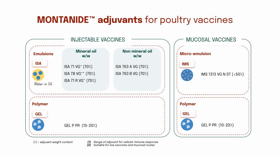 Animal species and veterinary vaccines: Vaccine adjuvants tailored to ...