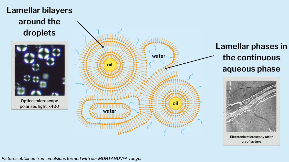 How lamellar liquid crystal emulsion can strengthen skin barrier
