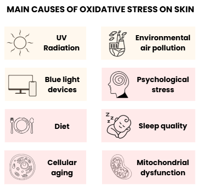 Oxidative Stress on Skin: A Cellular Approach to Protection and Repair ...